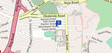 Amoke Oge Food Centre, 95-59 Moshalashi St, Ikoyi, Lagos, phone +234 ...